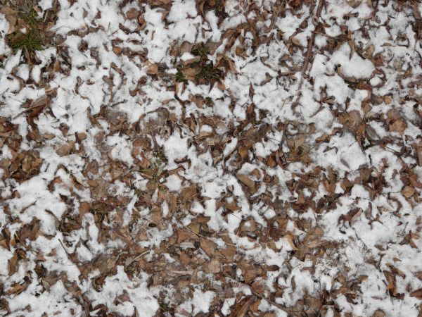frozen ground texture 0026 - Texturelib